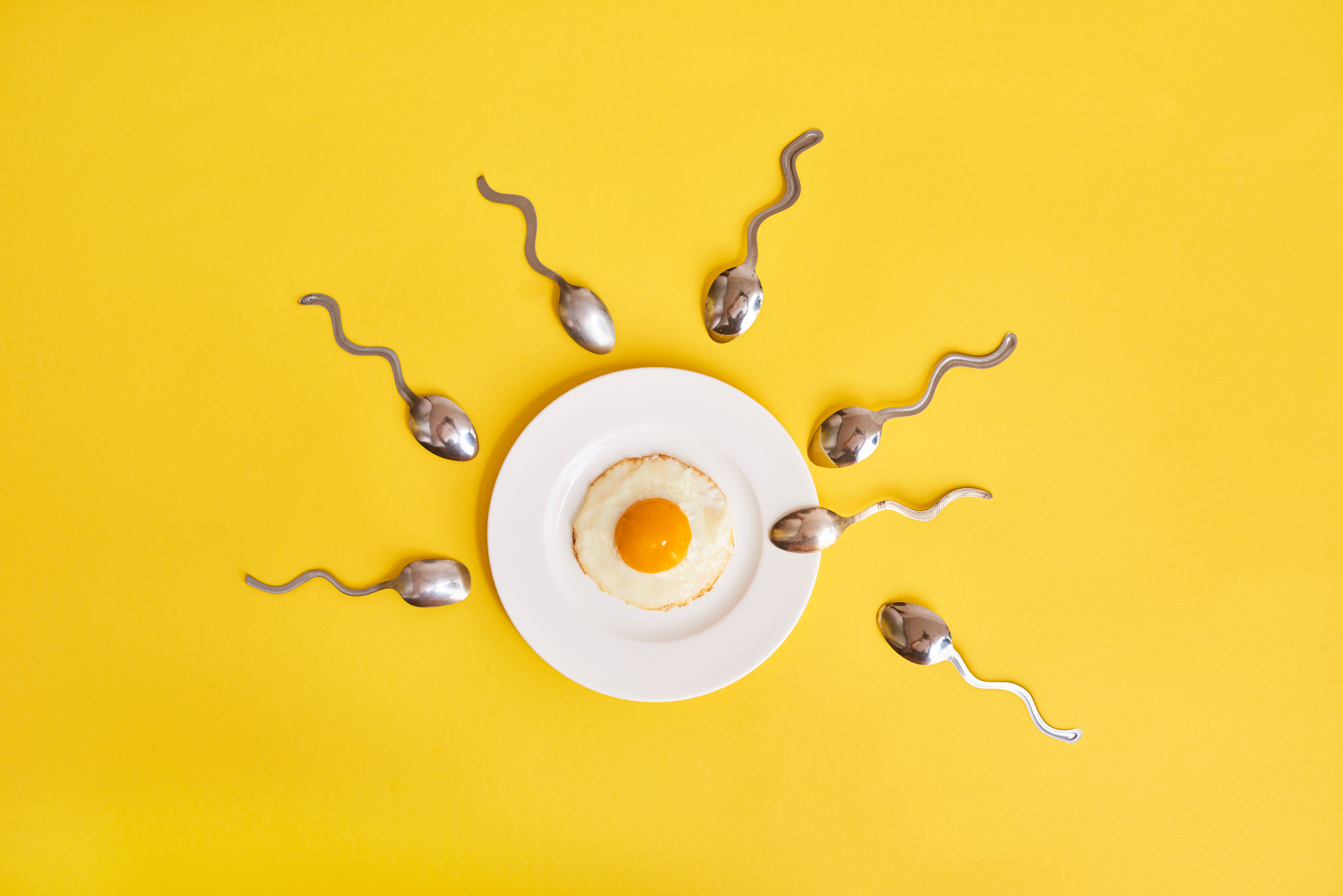 How reliable is the egg timer blood test? - The University of Sydney