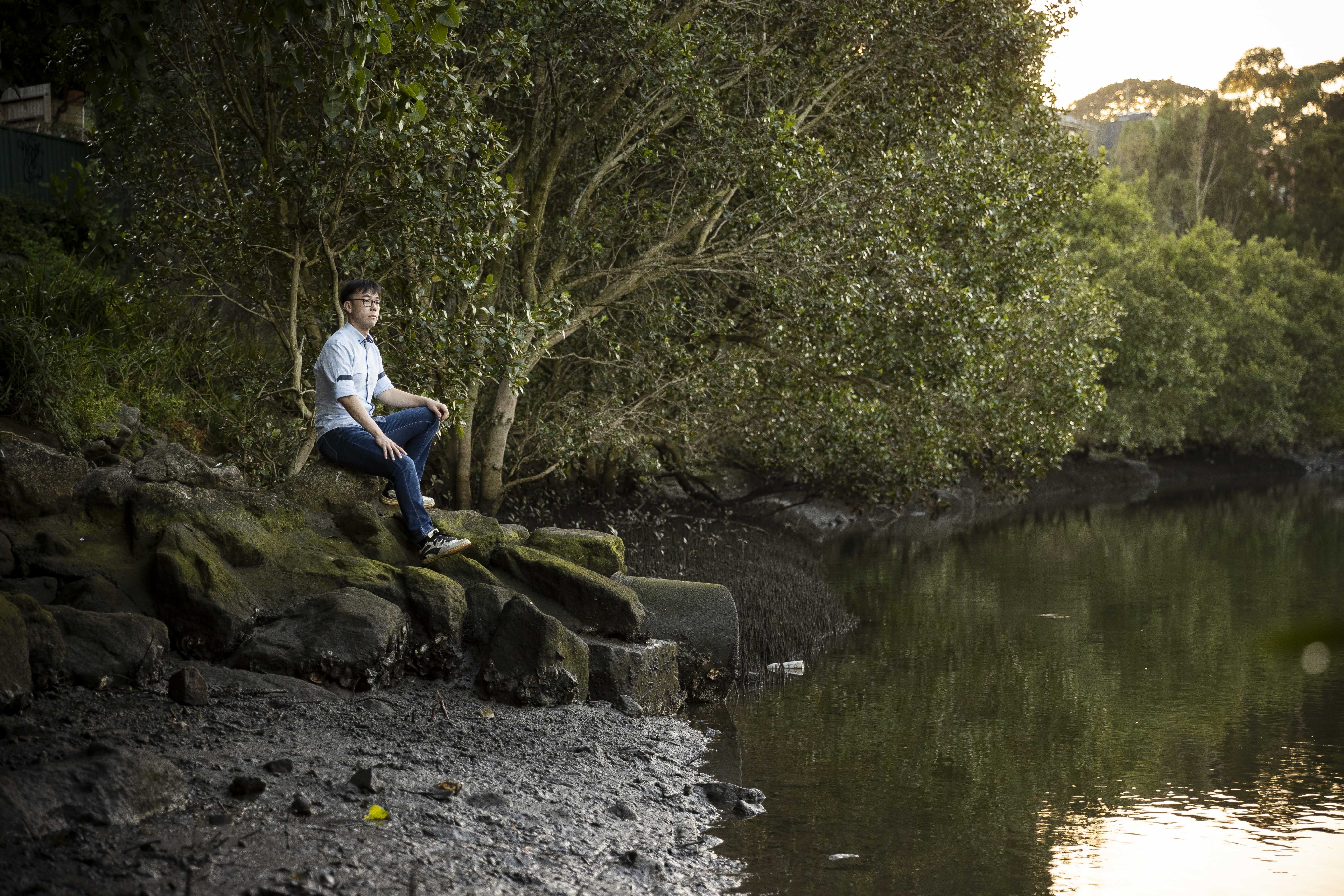 Plant more native trees to reduce landslide risk, control erosion, say ...