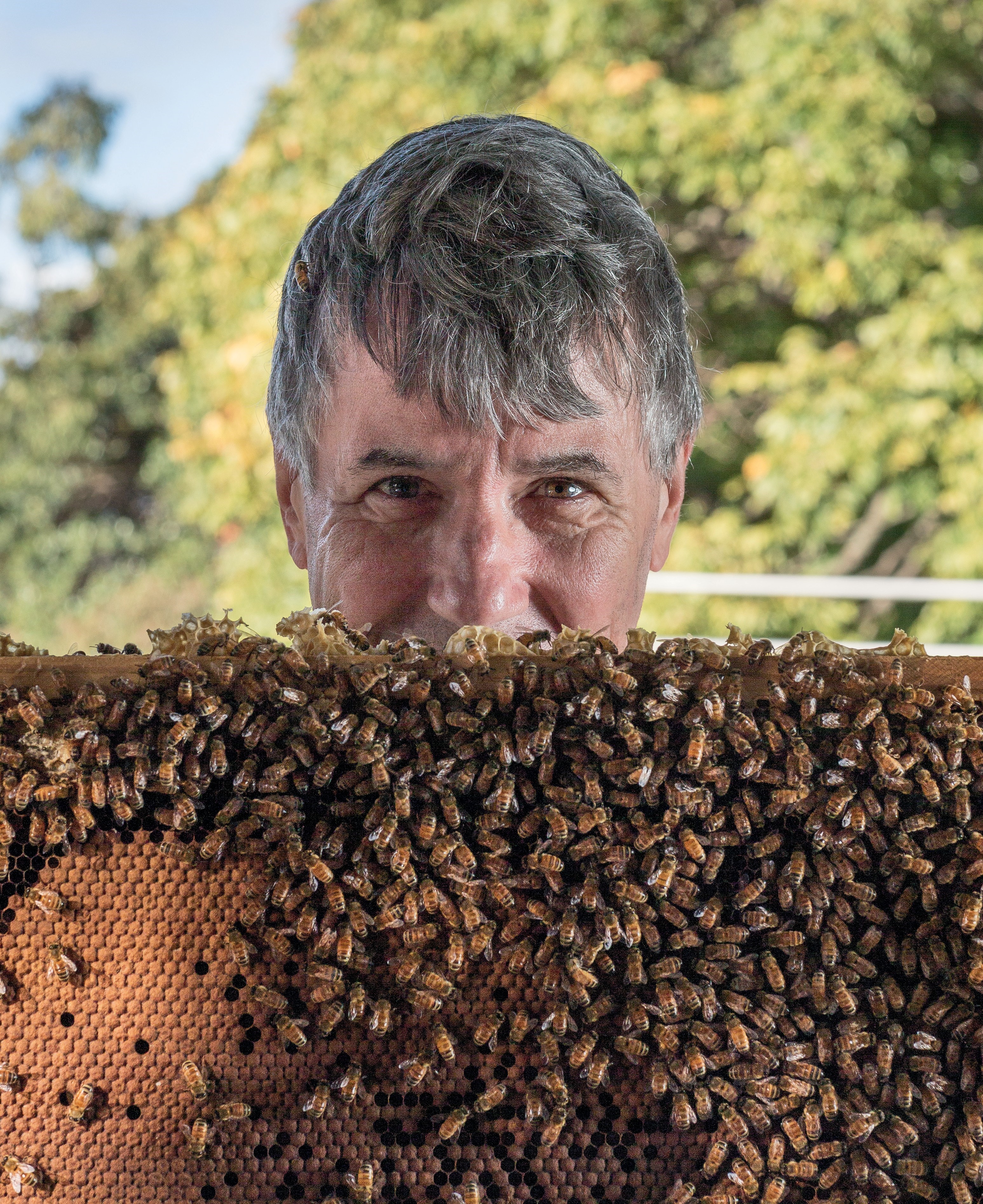 A hive of activity - The University of Sydney