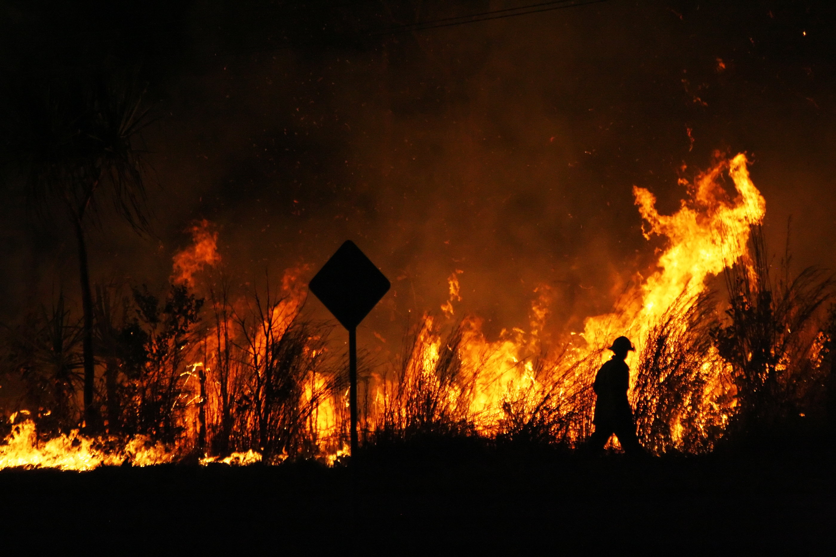 Black Summer bushfire season cost farmers up to $5 billion - The ...