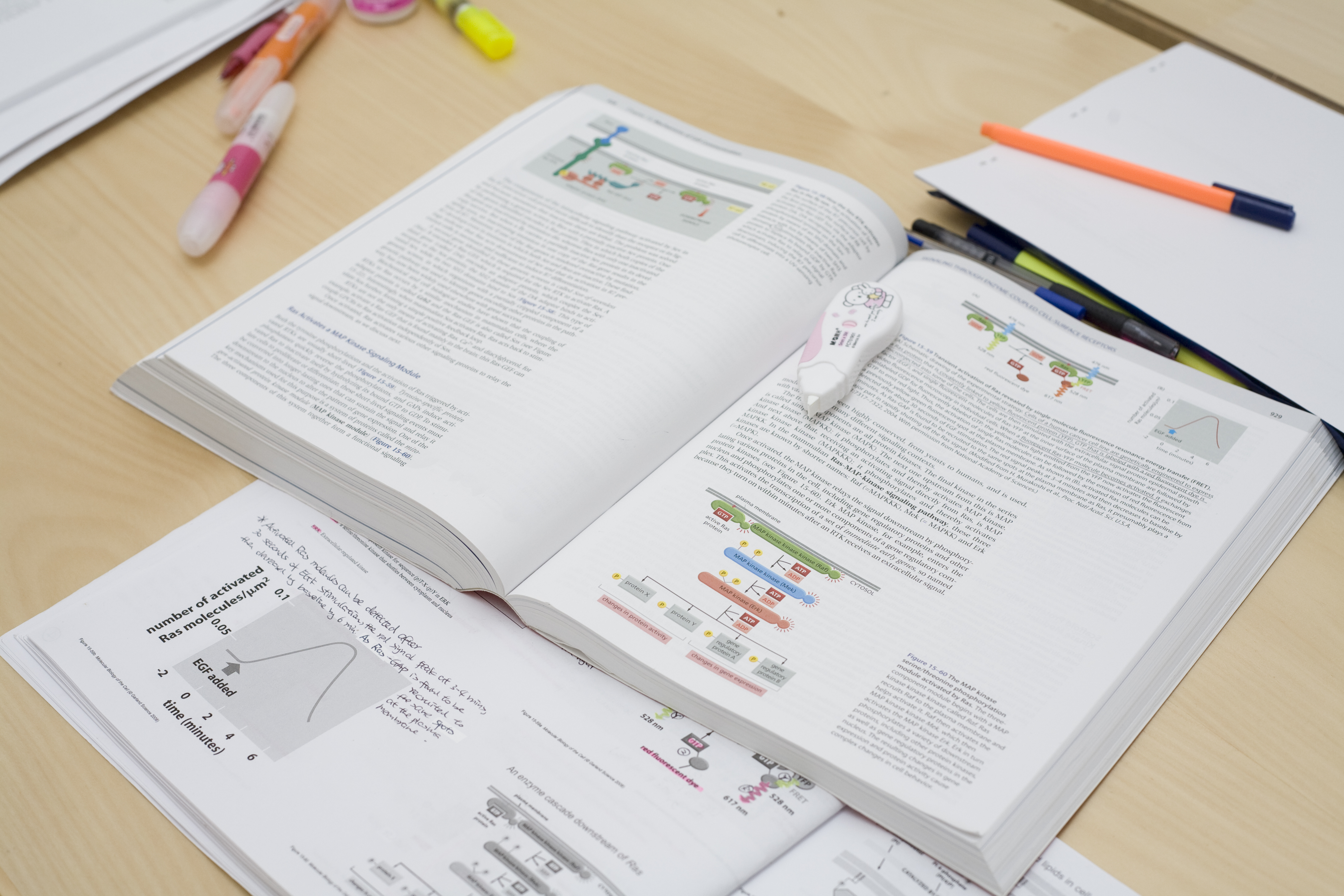 What you need to know about five day simple extensions - The University ...