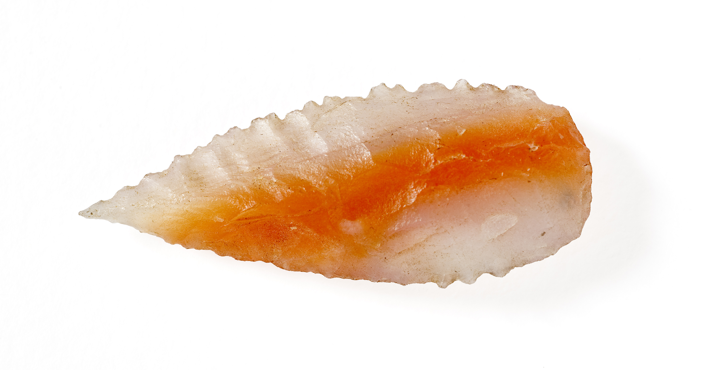 Insights from Australia's first scientists set in stone - The ...