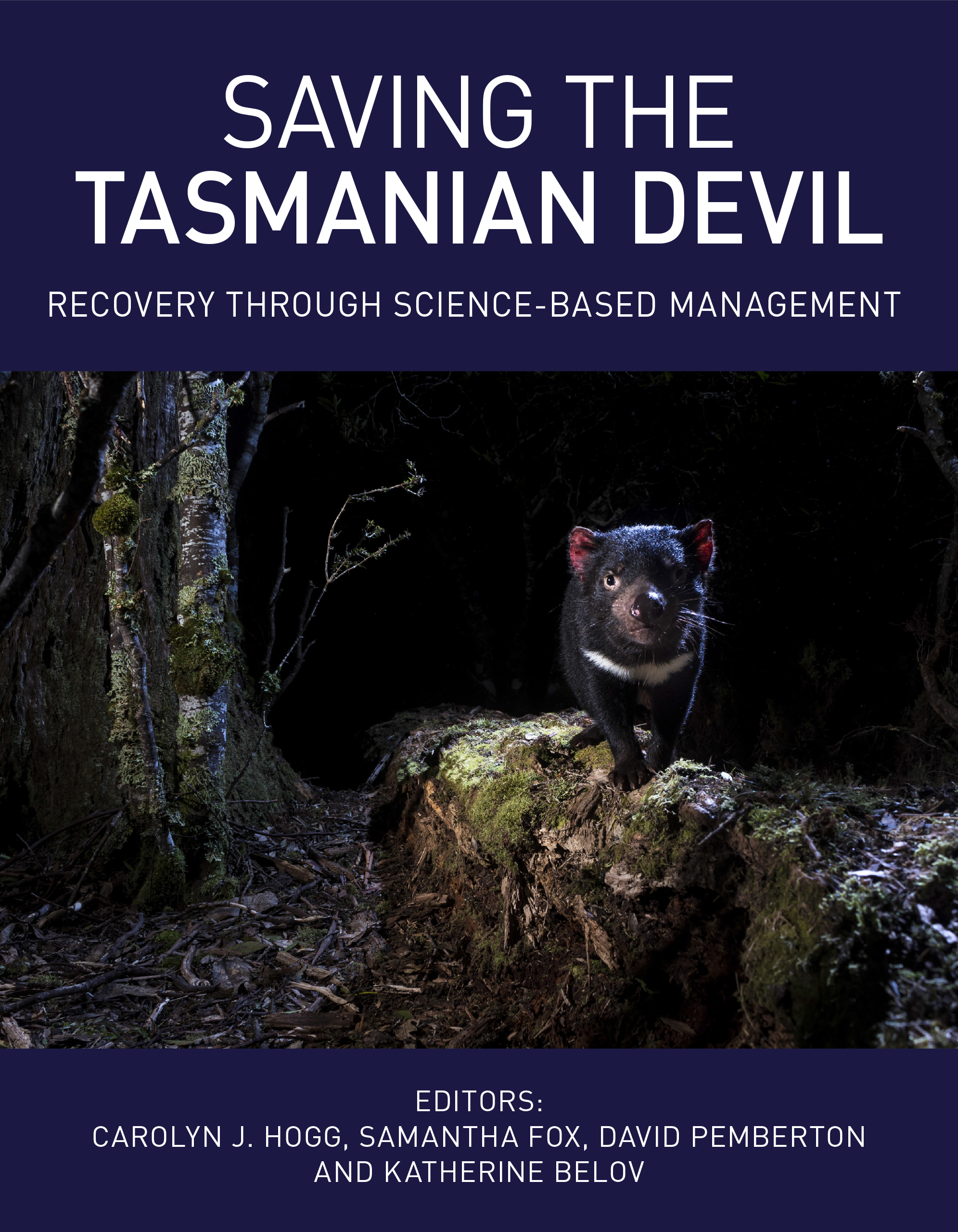 Tasmanian devils: How close are we to saving them? - The University of ...