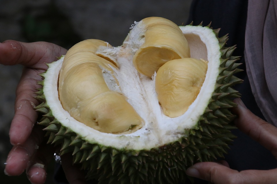 World’s smelliest fruit could charge your mobile phone - The University ...