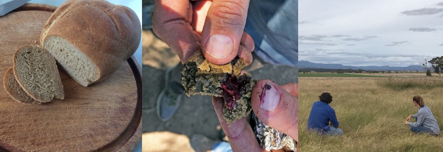 University study finds economic window for native grains production ...