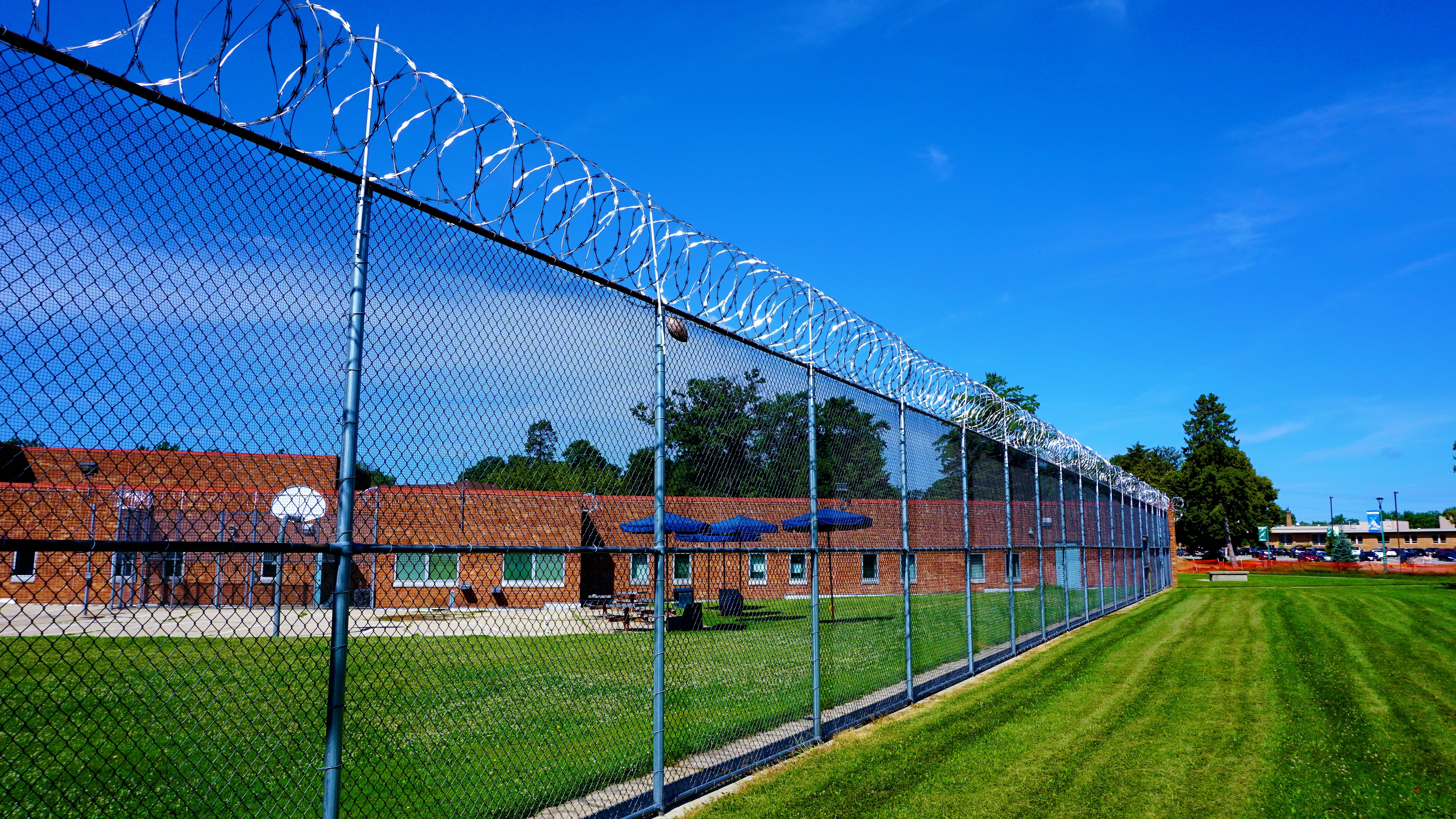 Collateral damage of immigration detention: new research - The ...