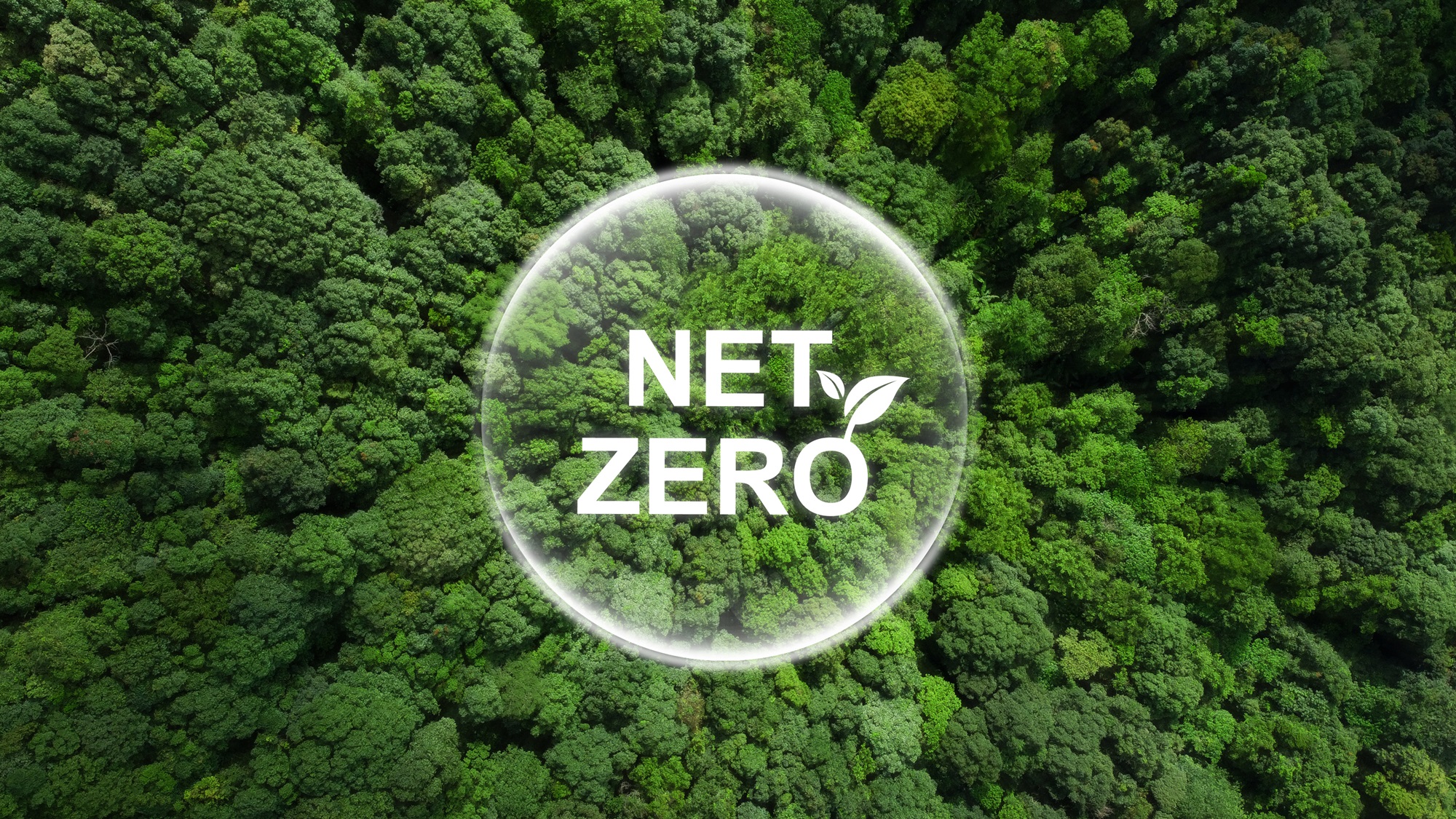 Net Zero course to equip business leaders - The University of Sydney