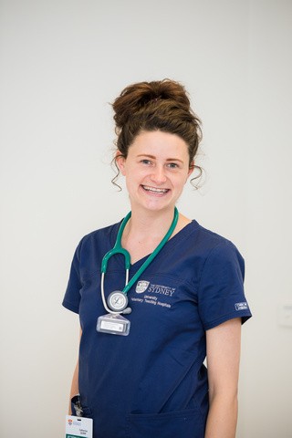 Support staff - University Veterinary Teaching Hospital Sydney